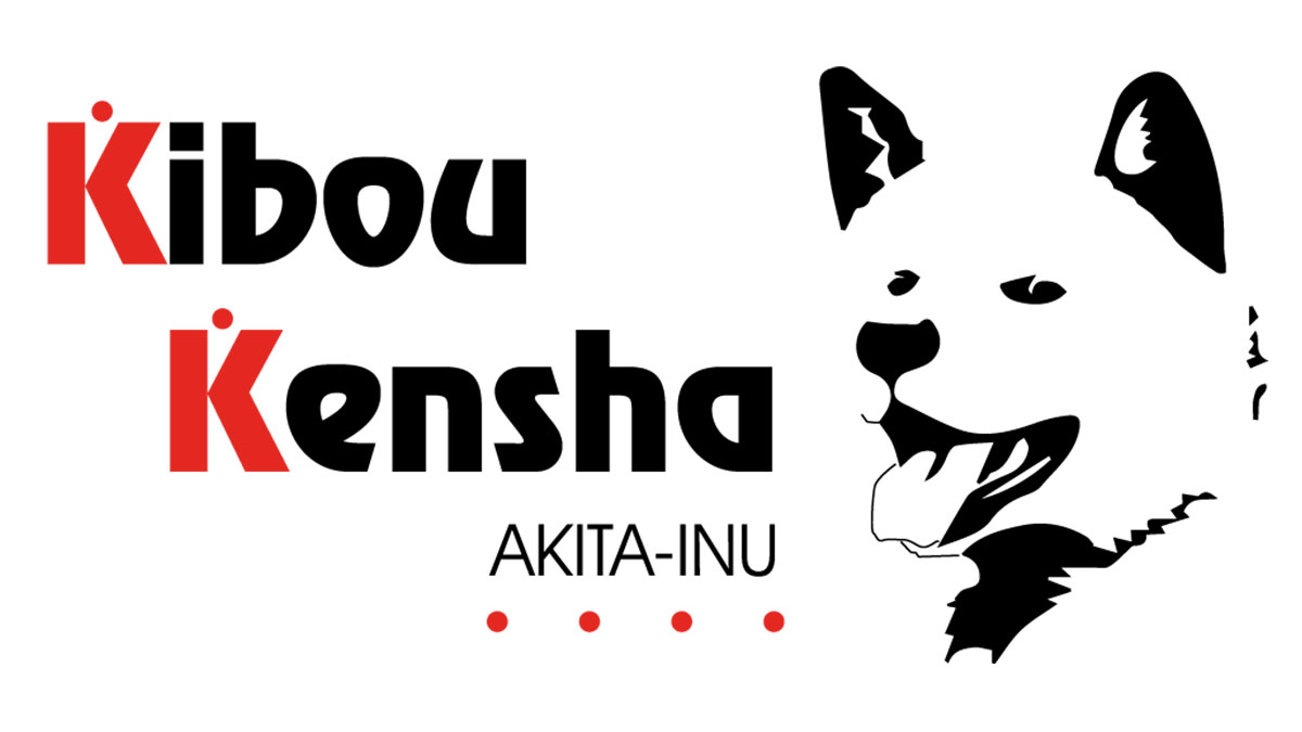Inicio | kibou kensha